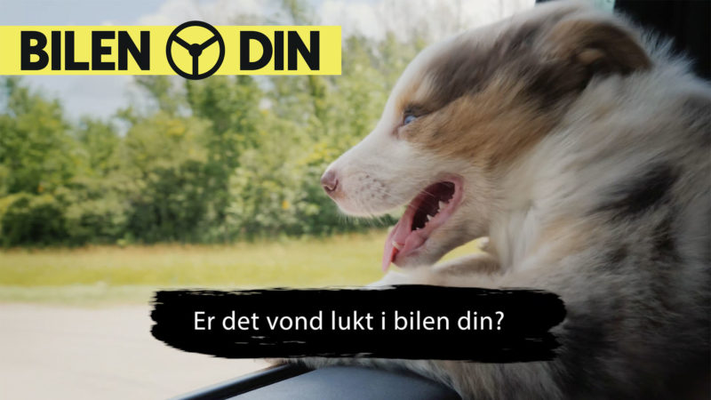 Aktuelt – Bilen Din AS